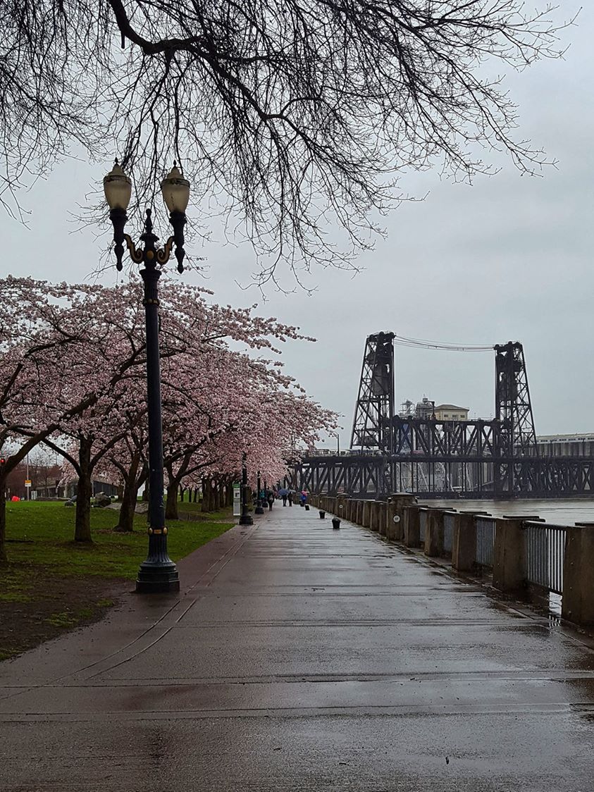 SSB Sunday Gathering – February 16, 2020 – Spiritual Sounding Board